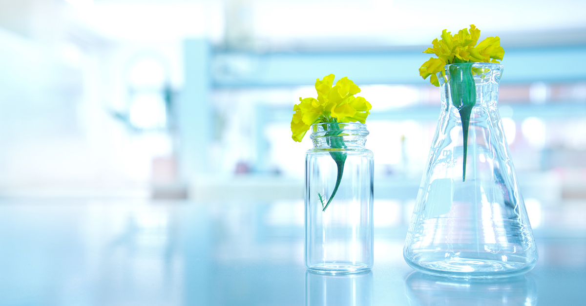 Online GCSE Biology Summer Refresher Course | PMT Education