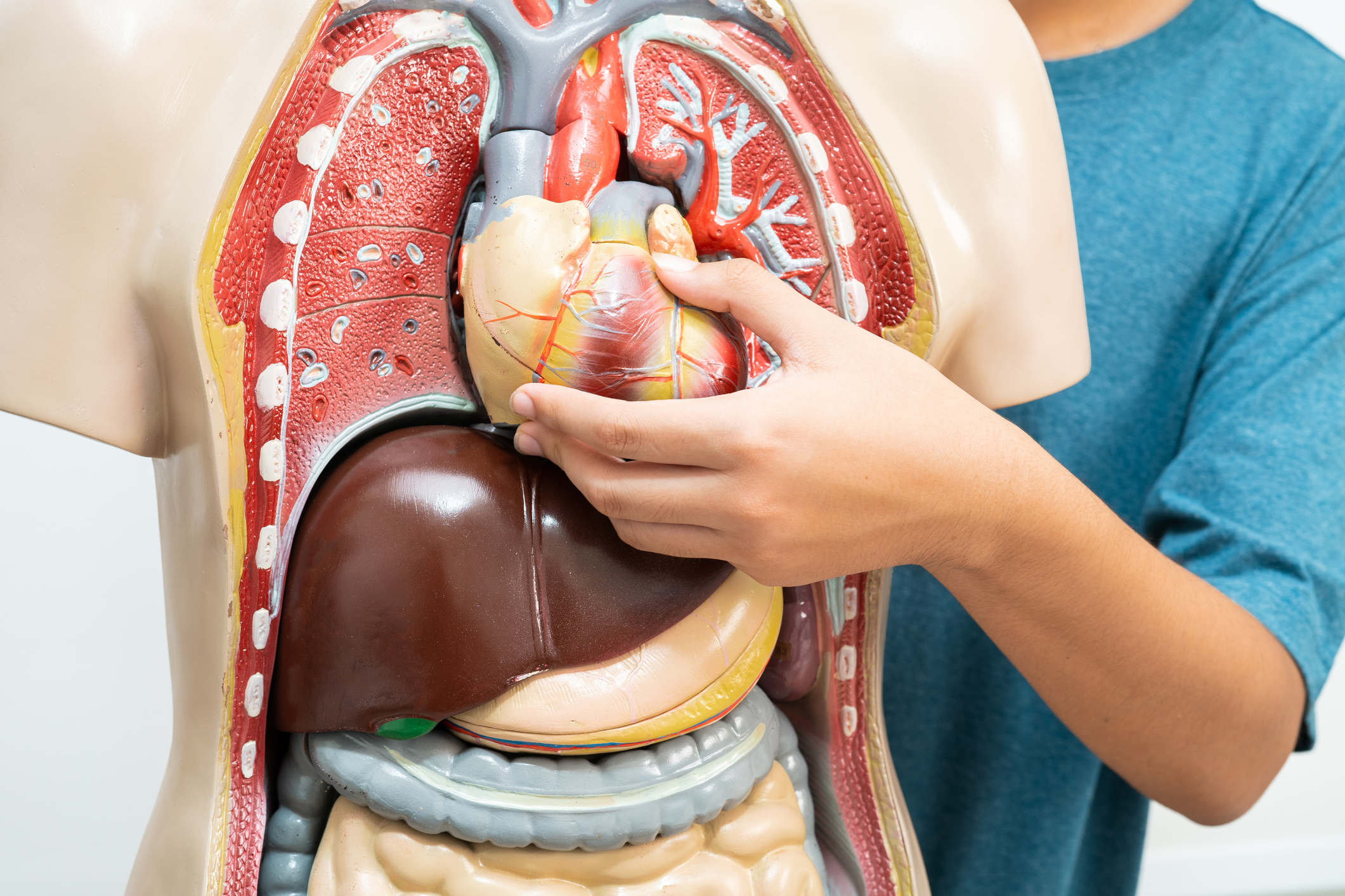 T Levels in STEM: What to know | PMT Education